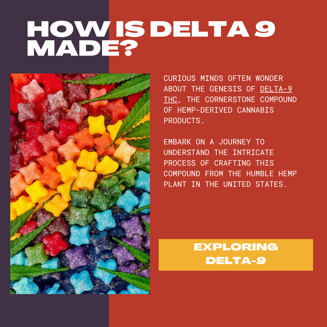 How is delta 9 made? Demystifying Delta-9 – Triangle Hemp Wellness