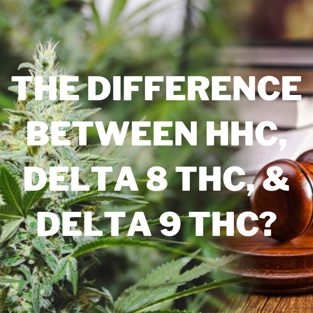 THE DIFFERENCE BETWEEN HHC, DELTA 8 THC, & DELTA 9 THC? – Triangle Hemp ...