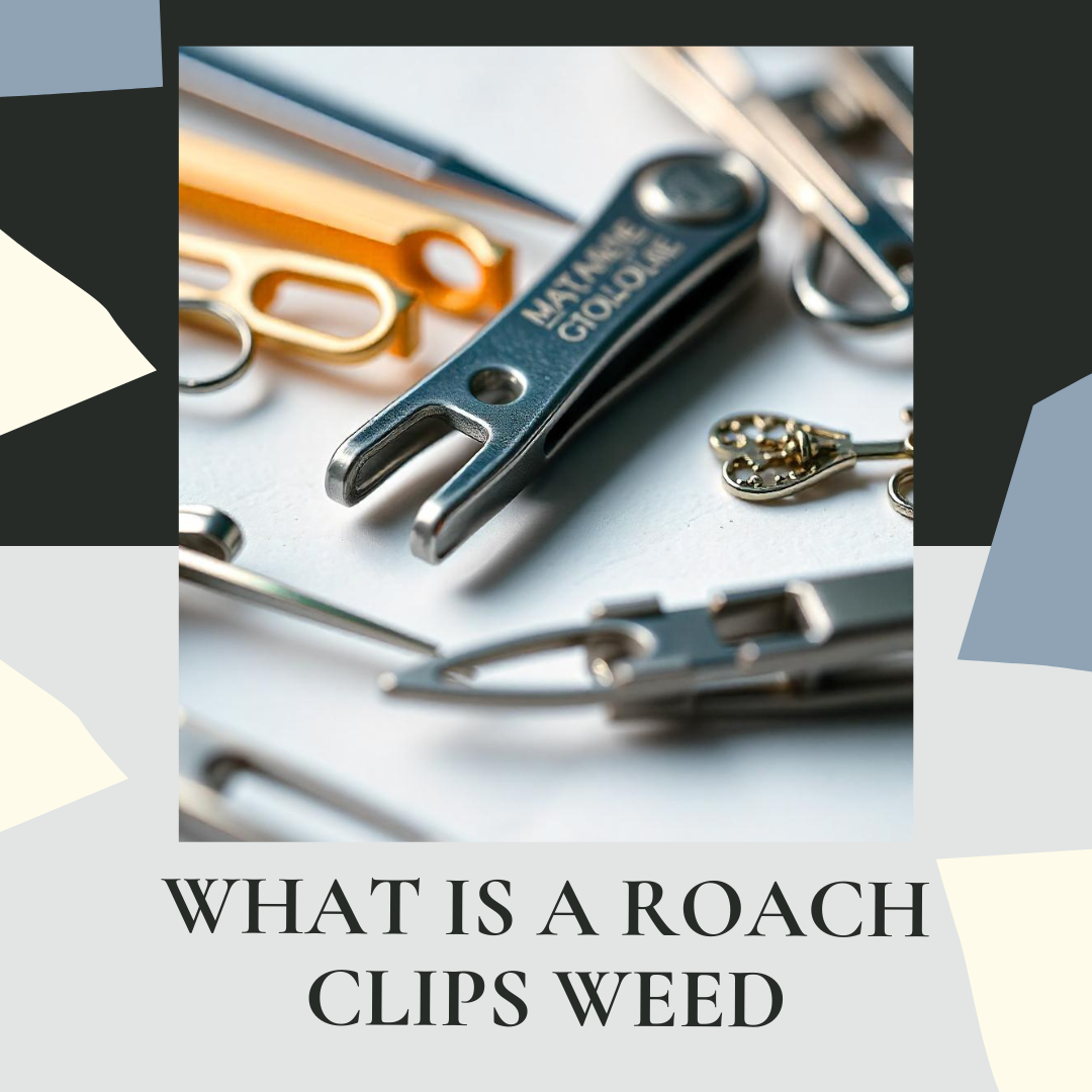 what is a roach clips weed – Triangle Hemp Wellness