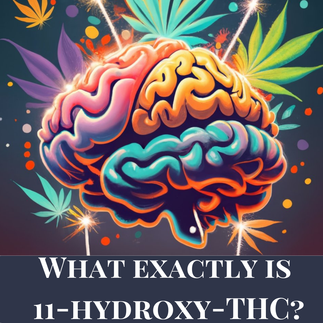 What exactly is 11-hydroxy-THC? – Triangle Hemp Wellness